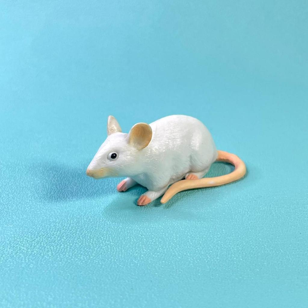 Jual Miniatur figur hewan tikus putih white mice mouse mainan diorama ...
