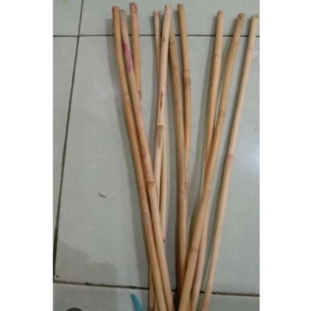 Jual TONGKAT ROTAN PANJANG 120 CM ROTAN BATANGAN | Shopee Indonesia