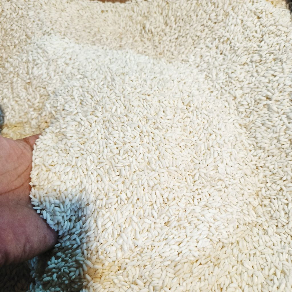 Jual ketan 1 kg | Shopee Indonesia