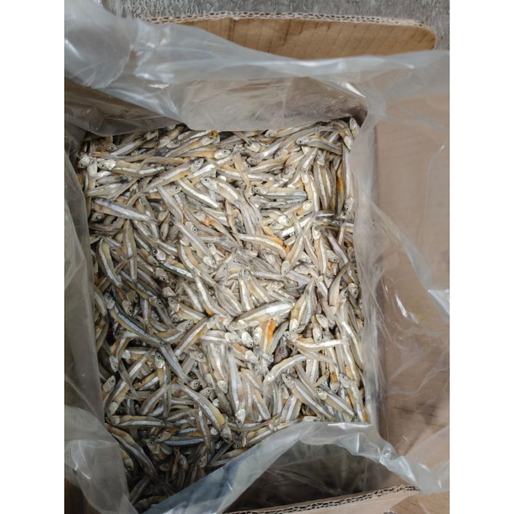 Jual Asin Teri Jengki Kering | Shopee Indonesia