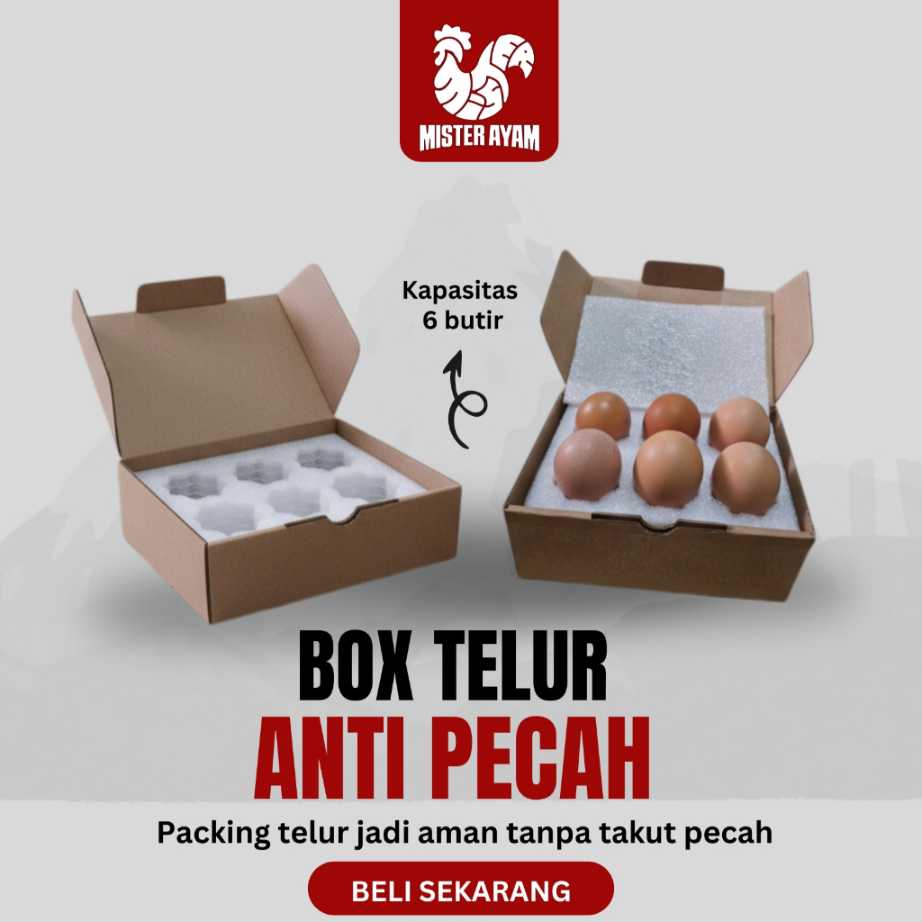 Jual BOX STEROFOAM PACKING TELUR ANTI PECAH KAPASITAS 6 LUBANG TELUR ...