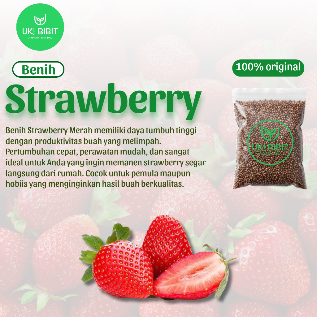Jual ( 10 Butir ) Benih Biji Strawberry Merah | Fragaria Ananassa ...