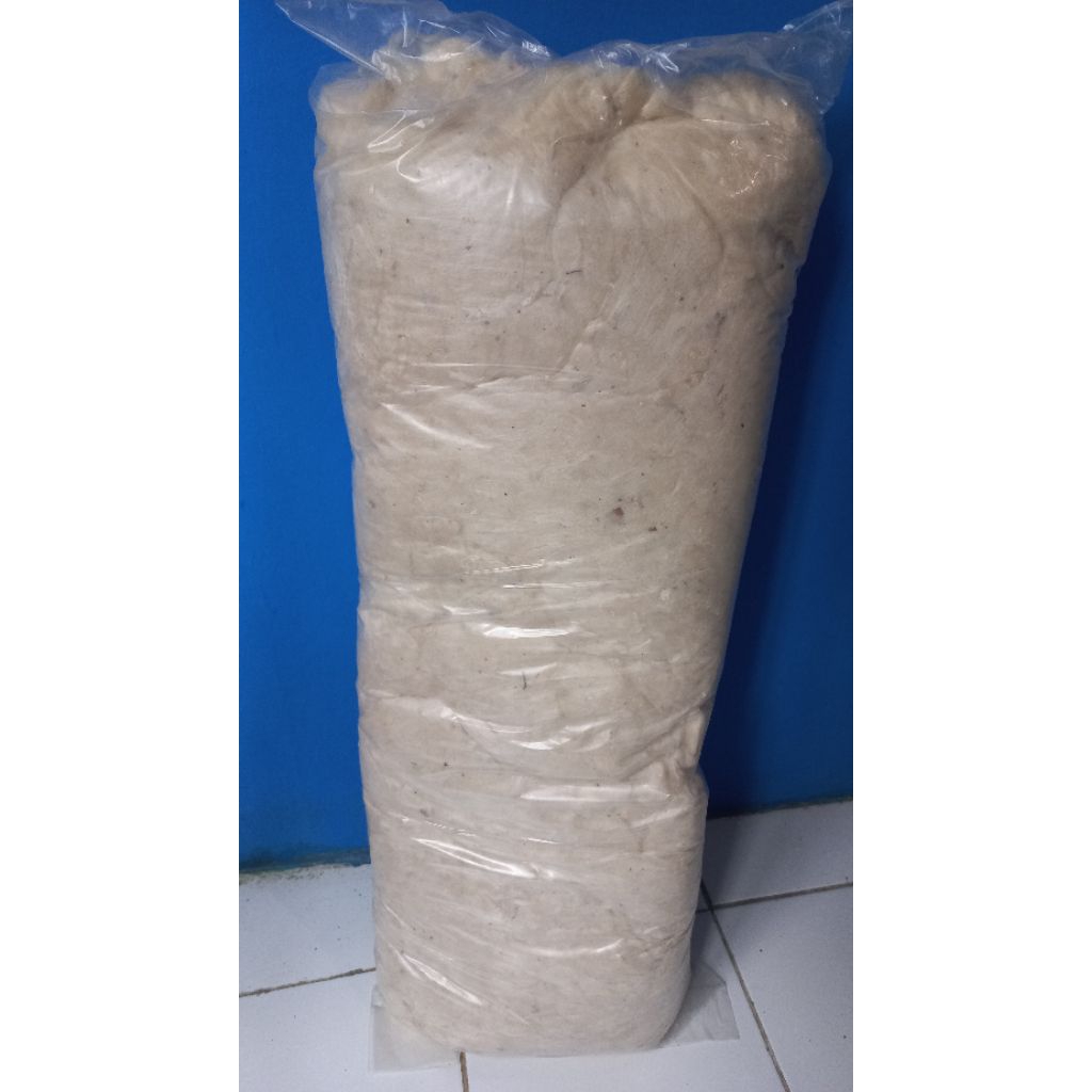 Jual KAPUK 1KG (ISIAN BANTAL, GULING, KASUR) | Shopee Indonesia