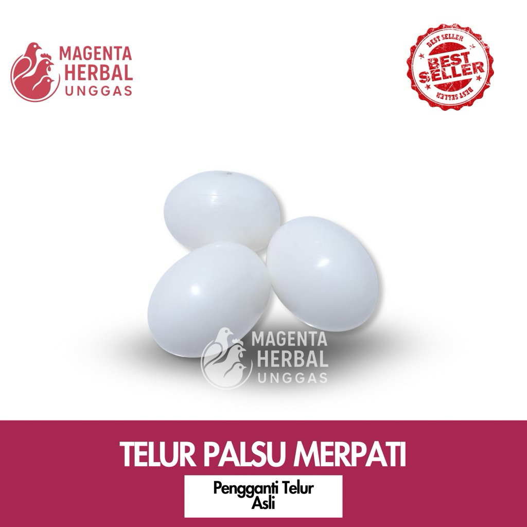 Jual Telur Palsu Merpati / Dara – Anti Pecah – Pengganti Telur Asli ...