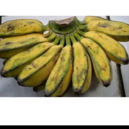 Jual pisang kepok kuning kalimantan satu sisir berat 1 kg | Shopee ...
