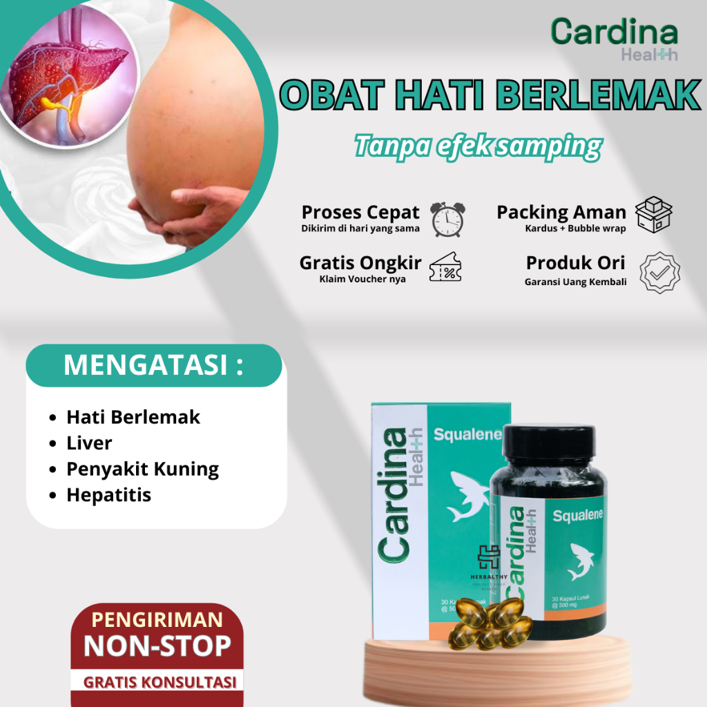 Jual Obat Perlemakan Hati (Fatty Liver) Hepatic Steatosis Obat ...