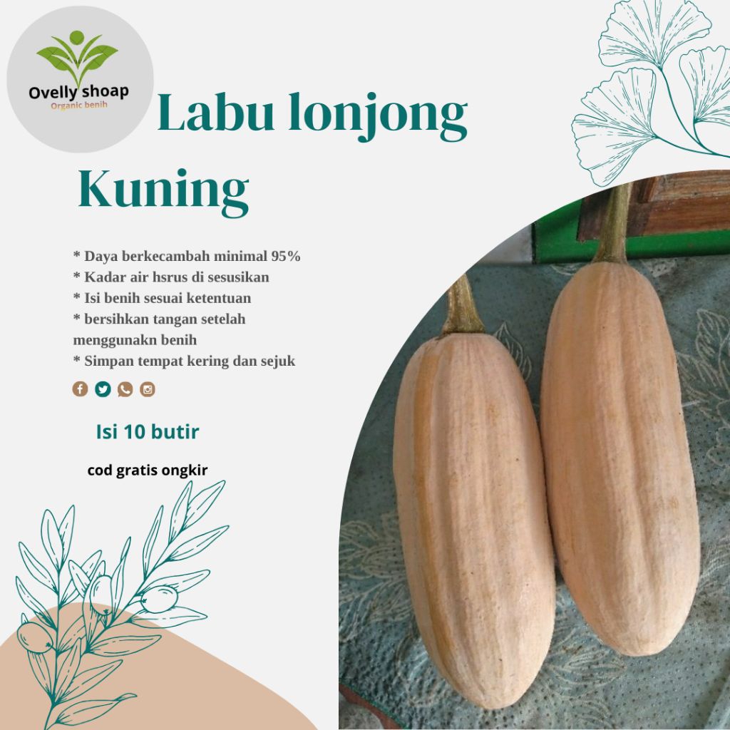 Jual Benih biji Labu Lonjong Panjang pulen gurih manis | Shopee Indonesia