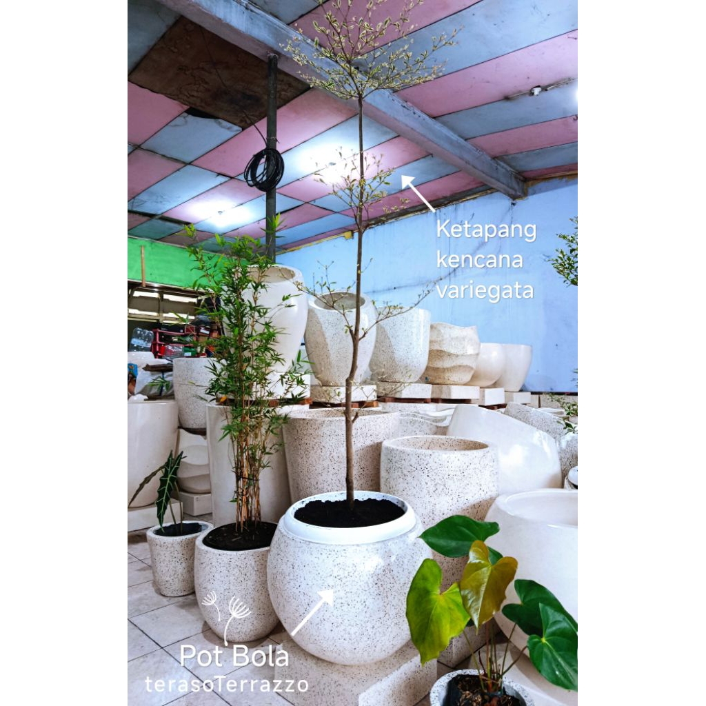 Jual KIRIM INSTANT Model BOLA BESAR D45 t40 Pot Teraso terazzo | Shopee ...
