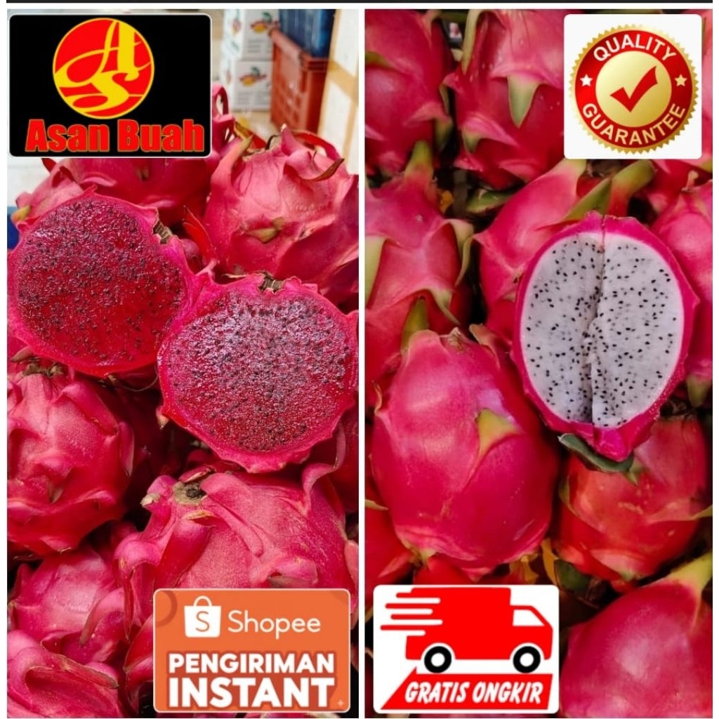 Jual Buah Naga Merah Putih Manis Jumbo Lokal Organik Malaysia Vietnam ...