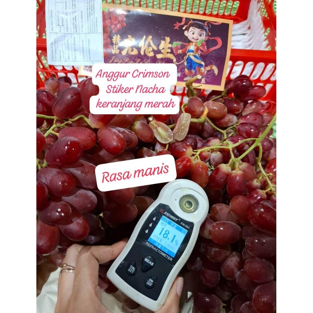 Jual ANGGUR RED LONG CRIMSON PACK | Shopee Indonesia