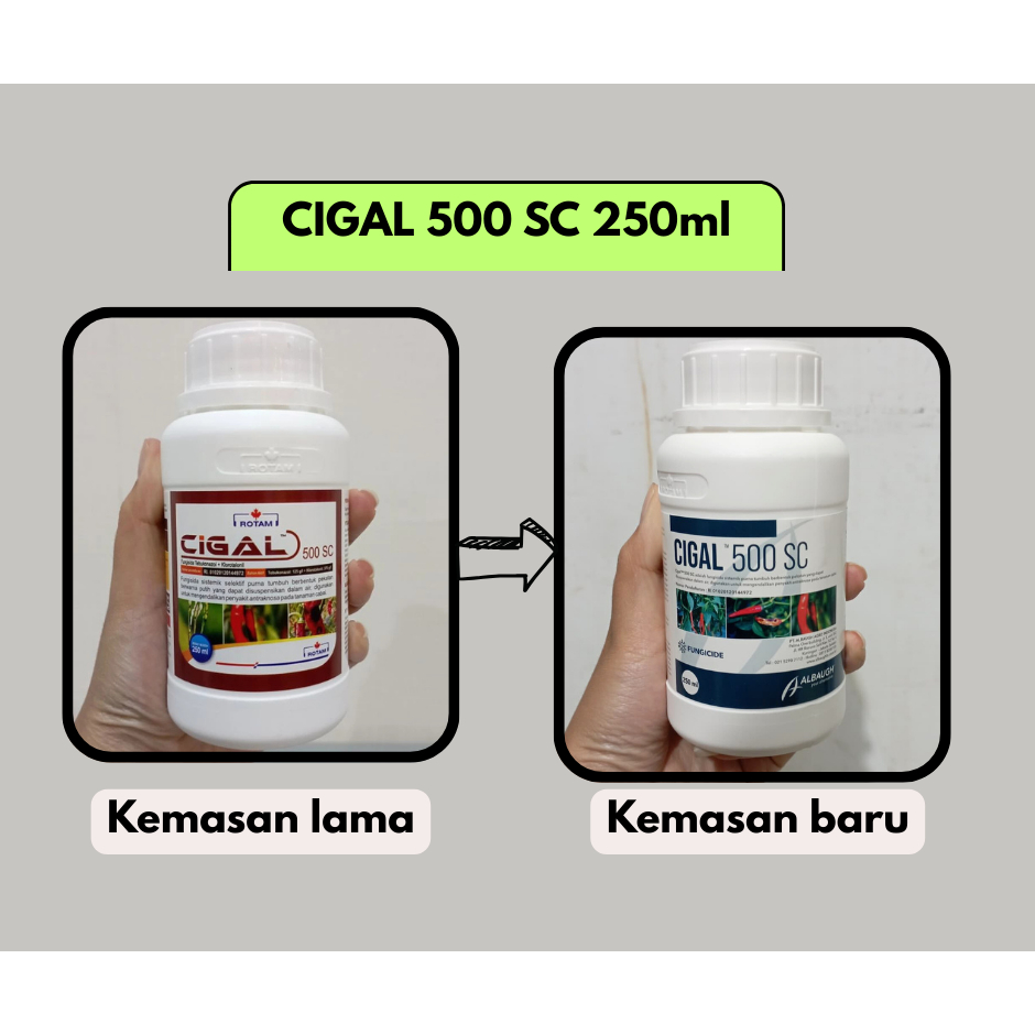 Jual CIGAL 500 SC 250ml Fungisida Tebukonazol 125g/l + Klorotalonil ...