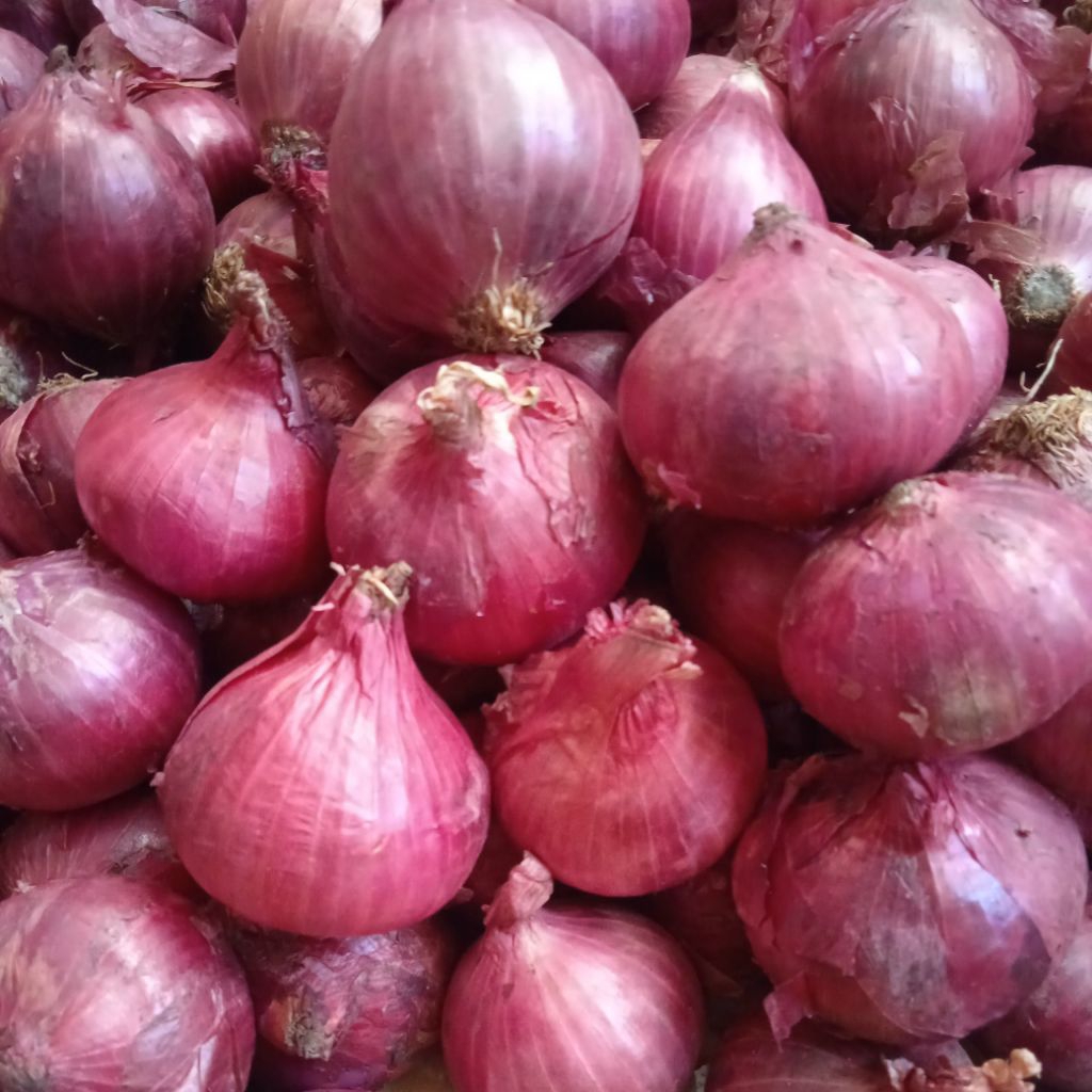 Jual Bawang merah India ukuran campur | Shopee Indonesia