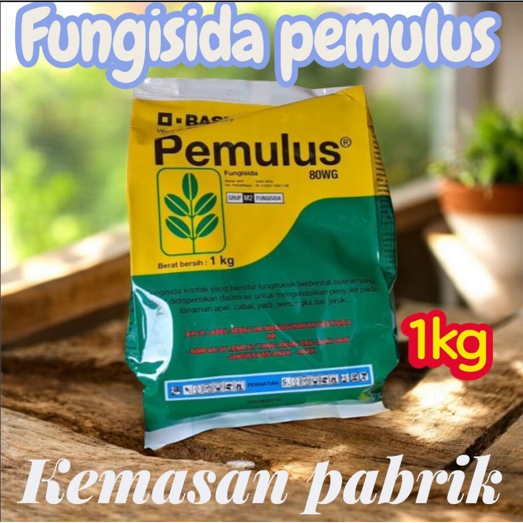 Jual FUNGISIDA AKARISIDA PEMULUS 80WG 80% SULFUR KEMASAN 1KG | Shopee ...