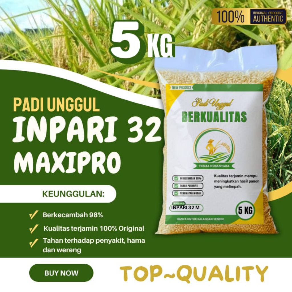 Jual Benih padi unggul berkualitas tinggi INPARI 32 MAXIPRO original ...