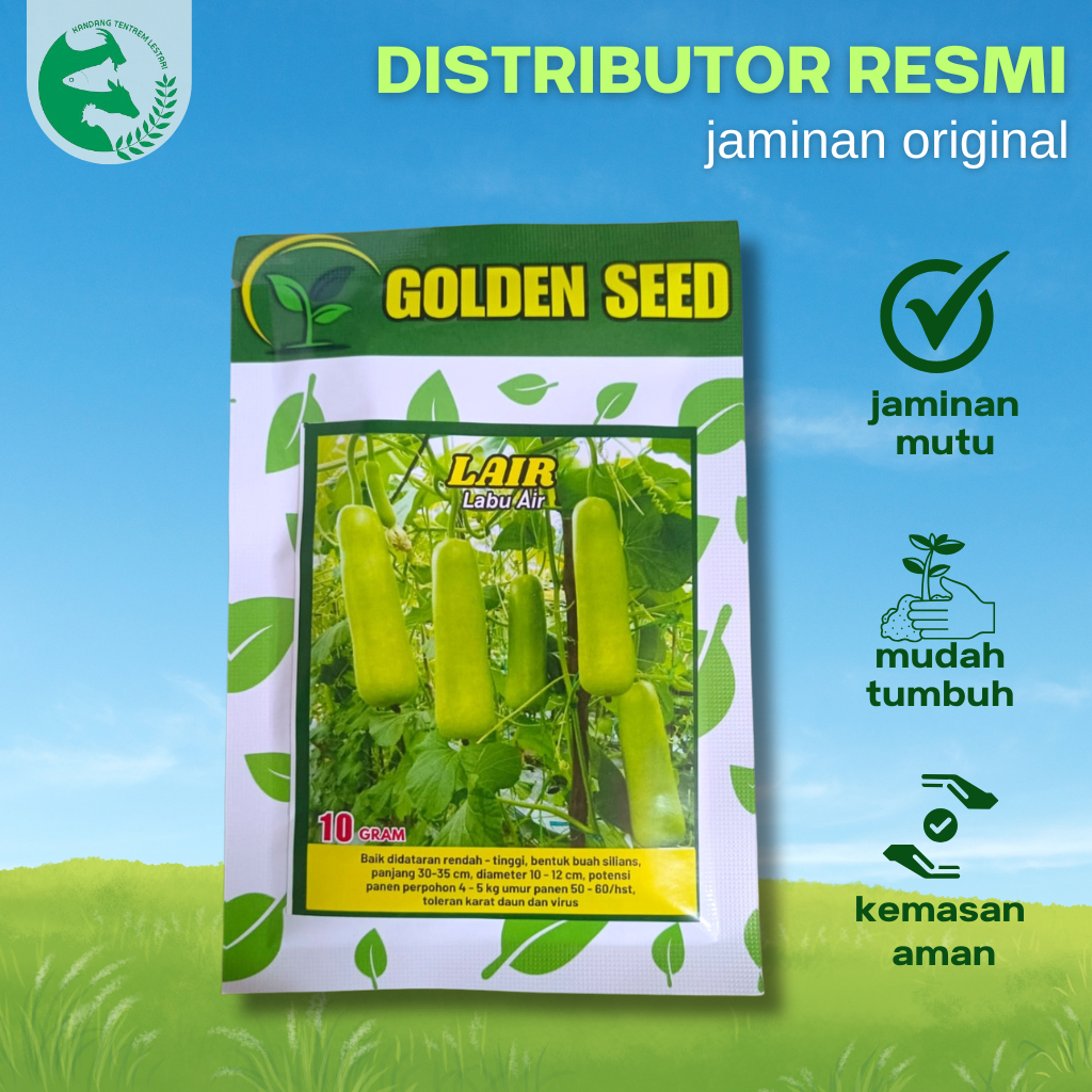 Jual Benih Labu Air LAIR 10 Gram Golden Seed Sayuran Unggul Lebat Tahan ...