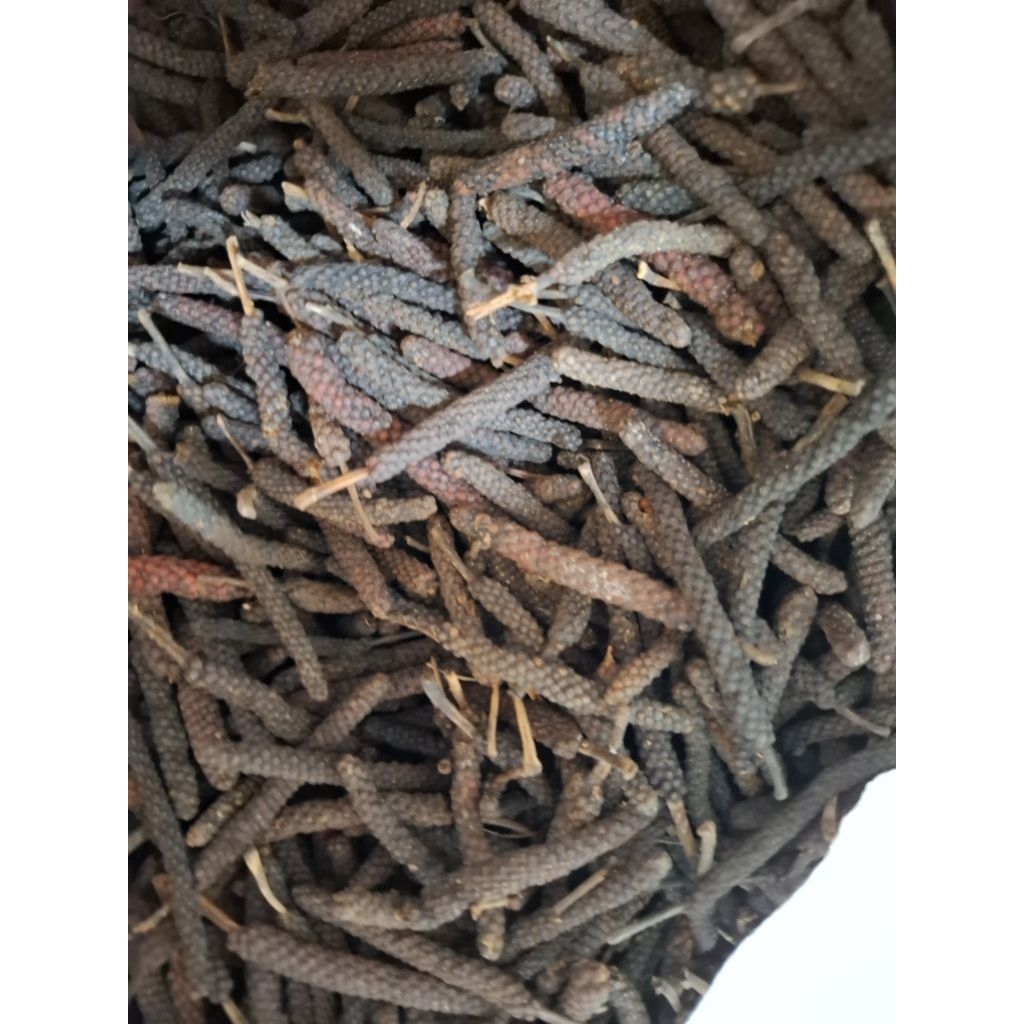 Jual Cabe Jawa Terlengkap & Harga Terbaru Mei 2026 | Shopee Indonesia