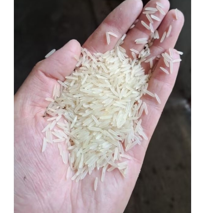Jual Beras Basmati 25 kg Berkualitas Beras Arab untuk nasi kebuli dan ...