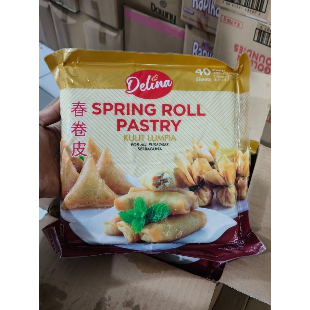 Jual KULIT LUMPIA Delina Spring Roll Pastry isi 40 lembar | Shopee ...