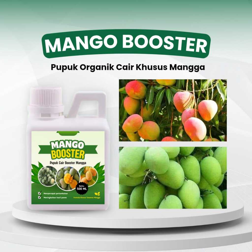 Jual Mango Booster Pupuk Organik Cair 500 ML Pohon Mangga Cepat Berbuah ...