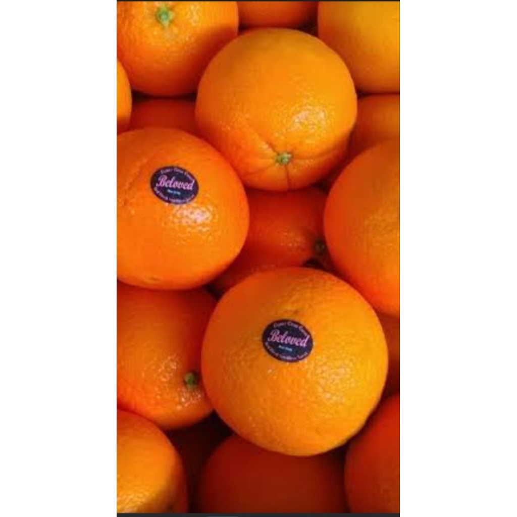 Jual Jeruk Sunkist Terlengkap & Harga Terbaru Mei 2026 | Shopee Indonesia