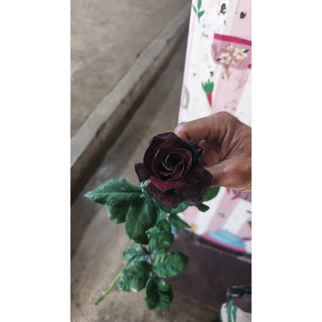 Jual FRESH FLOWER MAWAR HITAM | Shopee Indonesia
