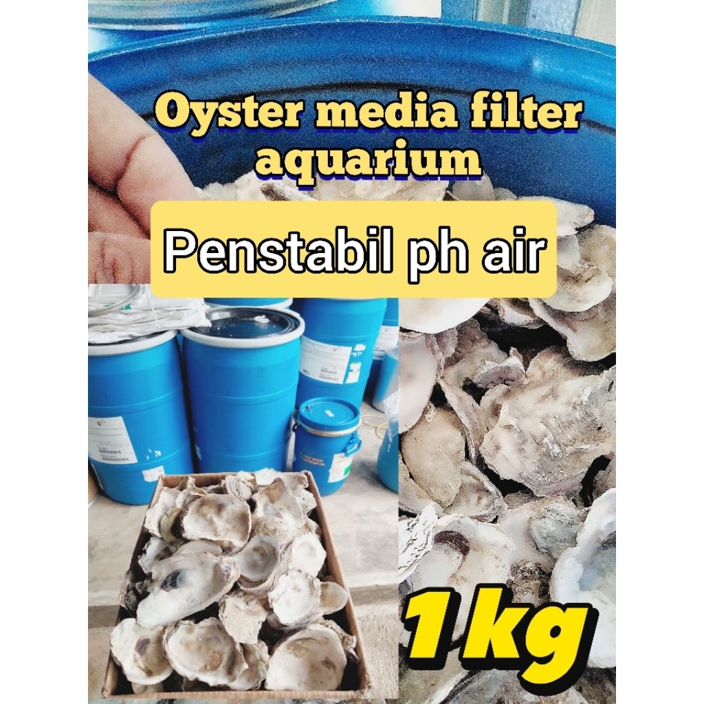 Jual oyster media filter penstabil ph air kemasan 1 kg tanpa kantong ...