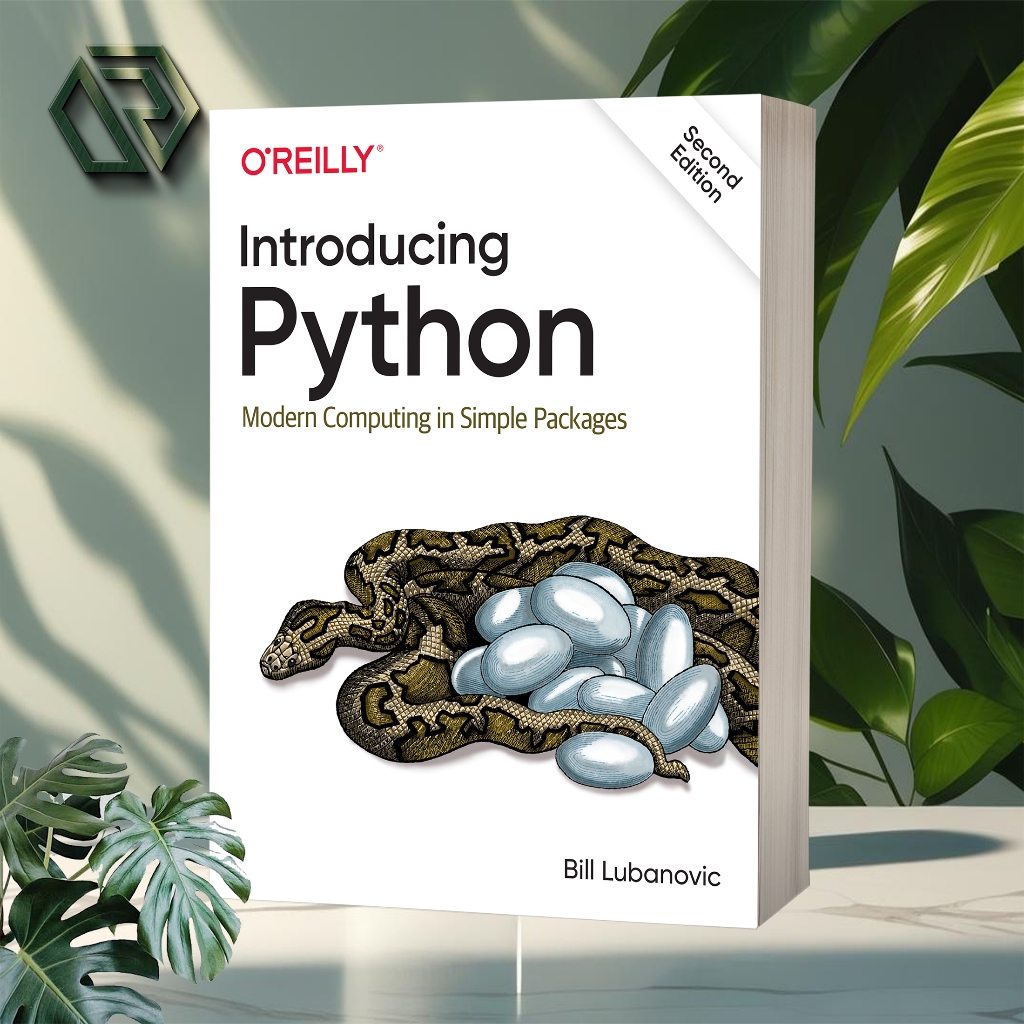 Jual Introducing Python Modern Computing in Simple Packages | Shopee Indonesia