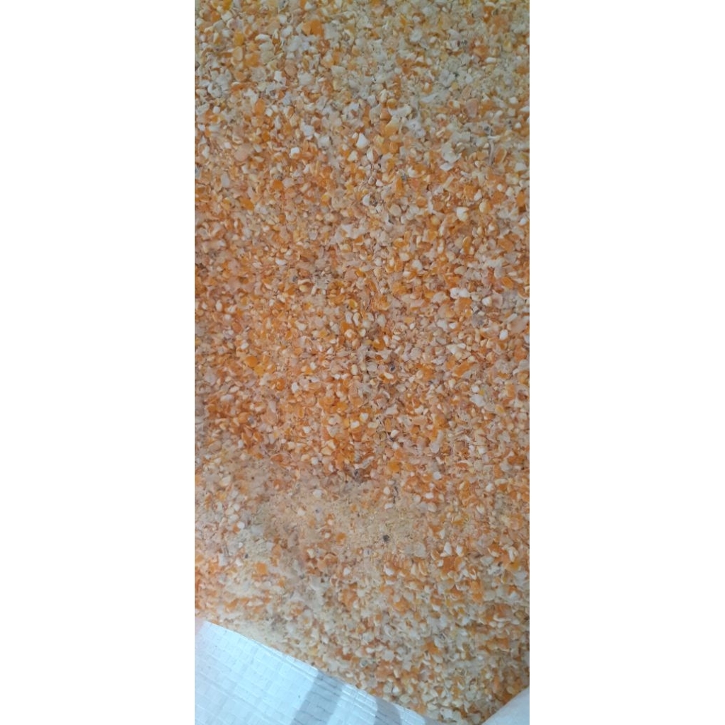 Jual JAGUNG GILING pakan ternak 1.000 gram (1kg) | Shopee Indonesia
