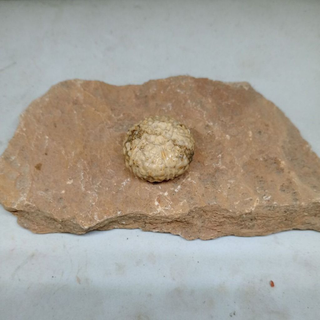 Jual batu mst1k0 cubung | Shopee Indonesia