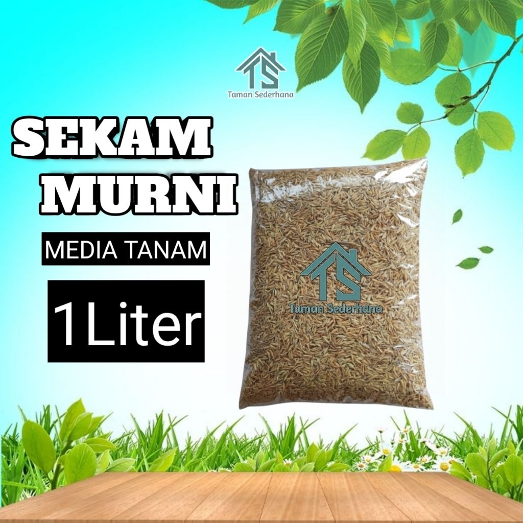 Jual SEKAM Padi Mentah Cocok Buat Tambahan Media Tanam | Shopee Indonesia