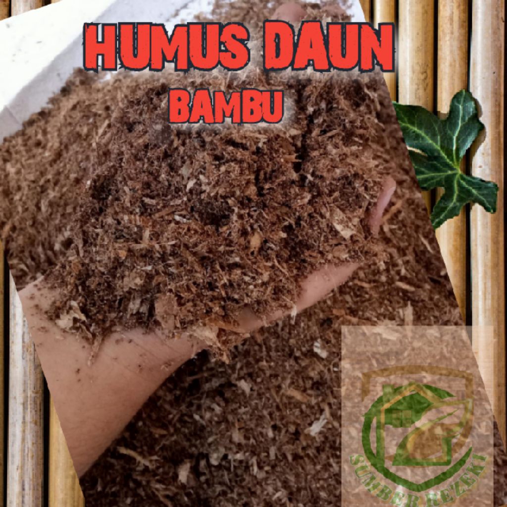 Jual humus daun bambu fermentasi 3Liter full | Shopee Indonesia