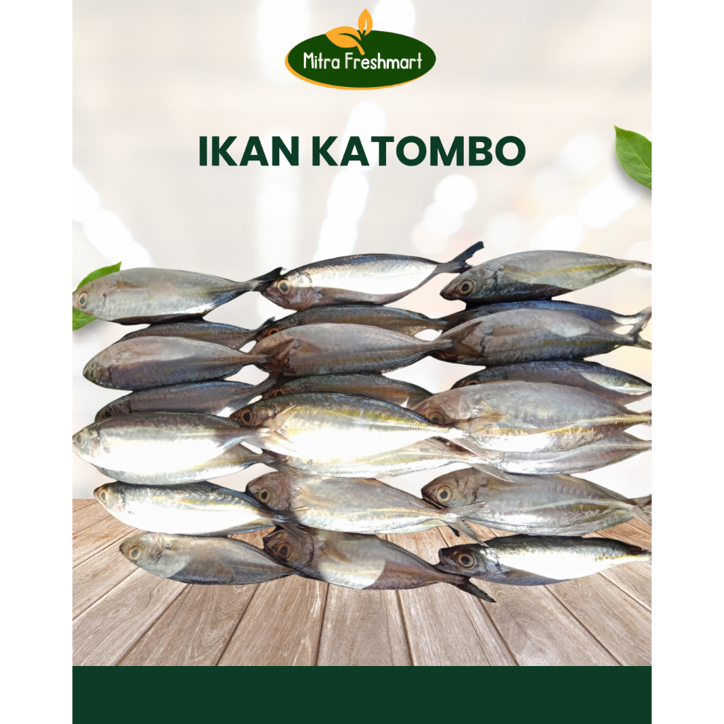 Jual Ikan Katombo | Shopee Indonesia