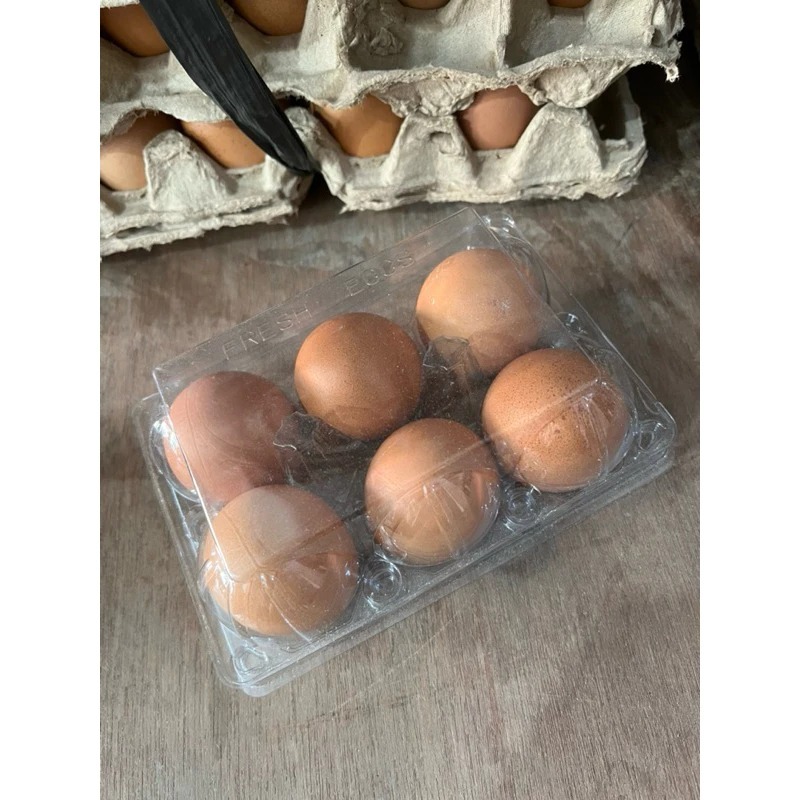 Jual INSTAN Telur Ayam Telor Paket Murah 6 Butir | Shopee Indonesia