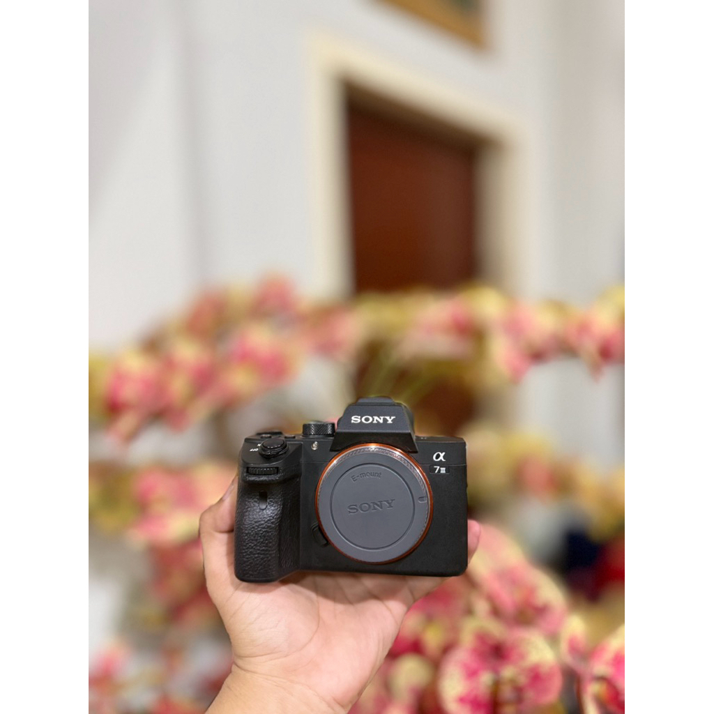 Jual sony a7 mark 3 bukan sony a7 mark 2 bukan sony a7R3 bukan sony a7R4 | Shopee Indonesia
