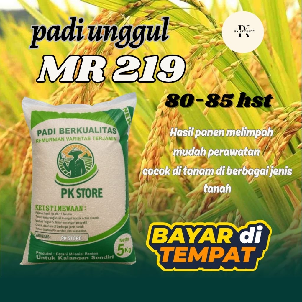 Jual Benih padi unggul MR219 Kemasan 5kg | Shopee Indonesia