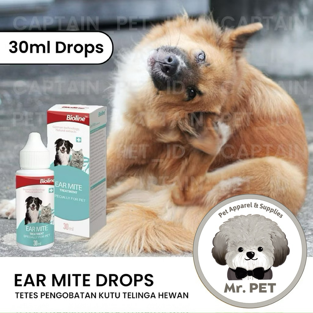 Jual OBAT TETES KUTU TUNGAU TELINGA ANJING EAR MITE DROPS FOR DOG EAR ...