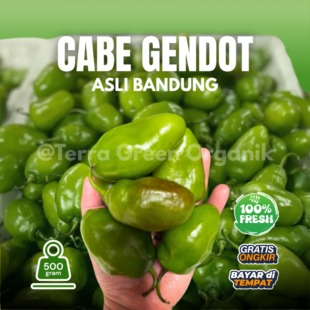 Jual Cabe Gendot Segar Asli Bandung 500gr – Super Pedas, Buah Tebal ...