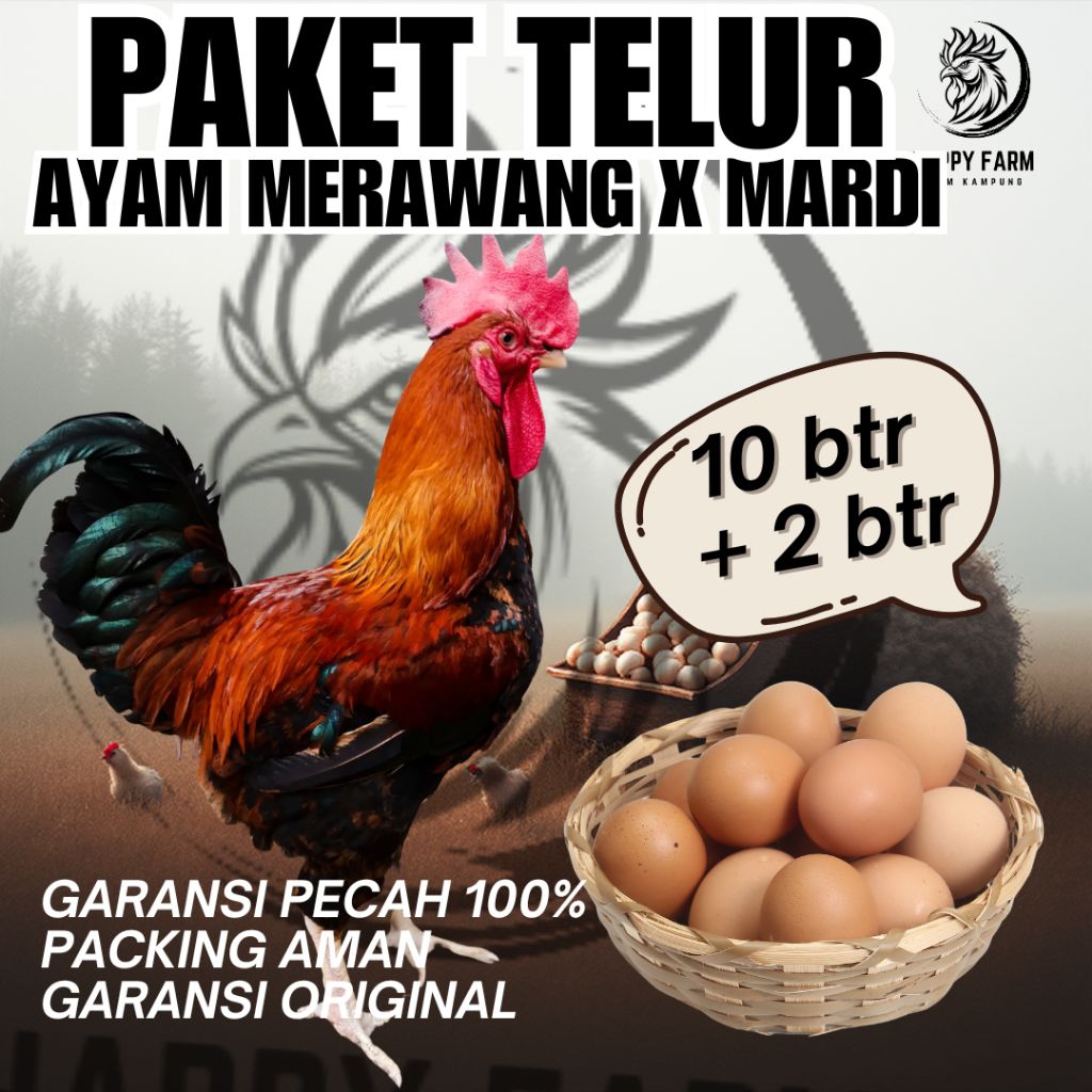 Jual paket telur merawang x mardi 10 butir | Shopee Indonesia