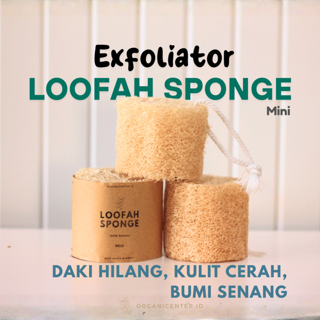 Jual Loofah Sponge Mini / Spons Gambas Natural Alami / Spons Sabut Cuci ...