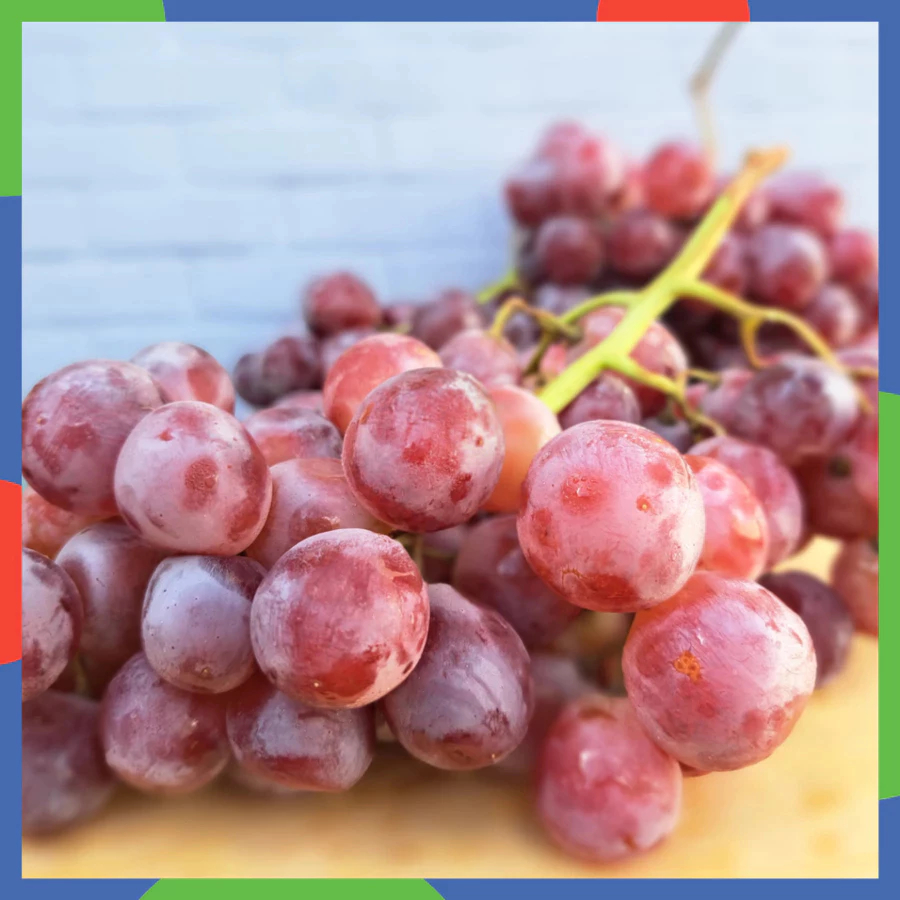 Jual Anggur Merah RED GLOBE Grapes IMPORT 500 gr | Shopee Indonesia