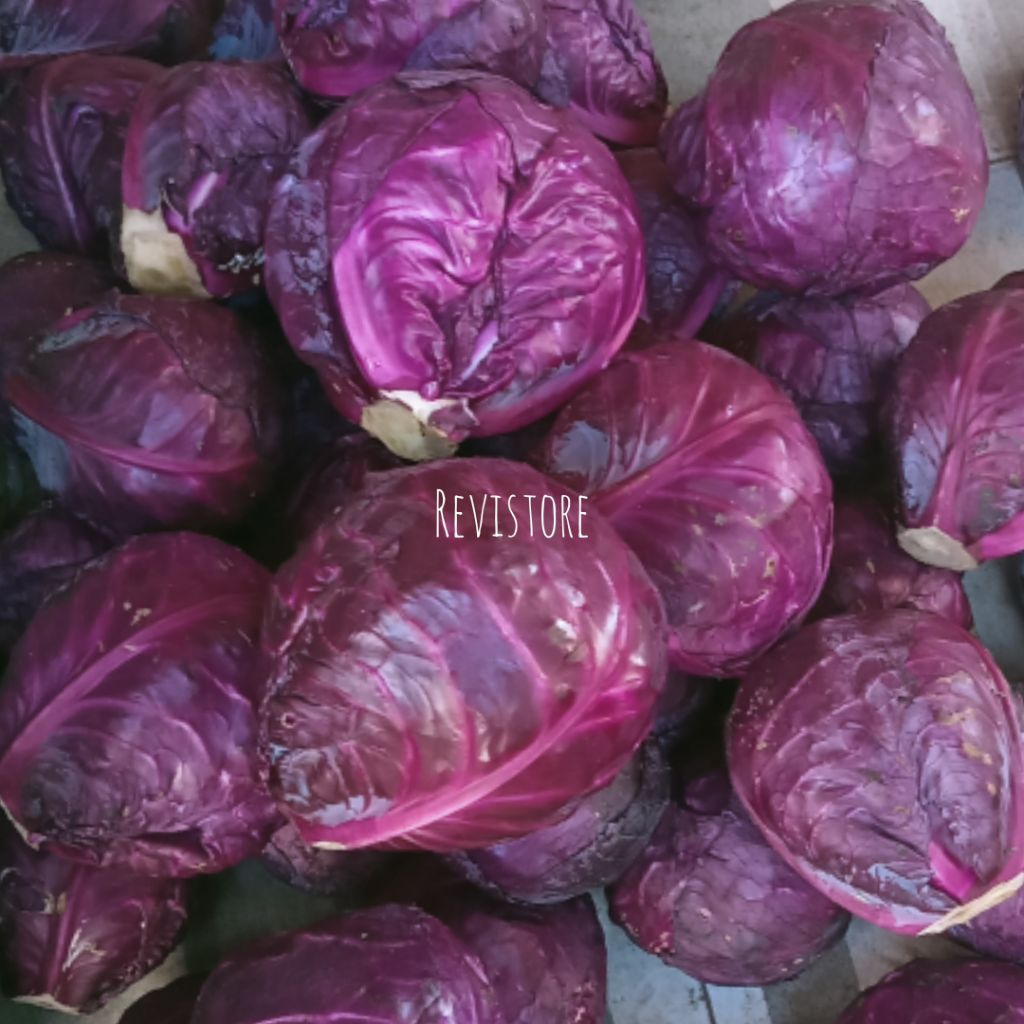 Jual Kol Merah/Kol Ungu Fresh 1kg Kaya Manfaat | Shopee Indonesia