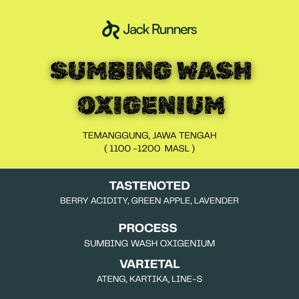 Jual JACK RUNNERS ROASTERY - SUMBING WASH OXIGENIUM GREEN BEANS COFFEE ...