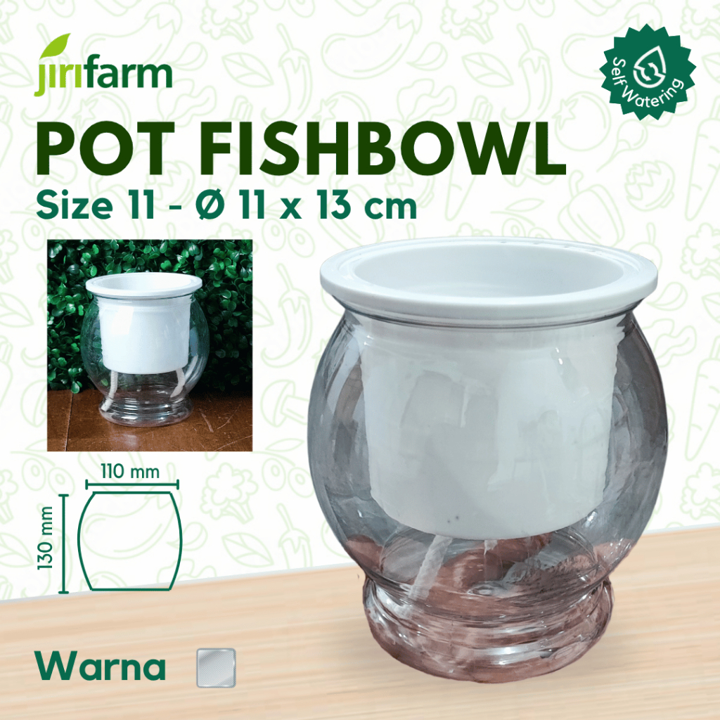 Jual JIRIFARM - Pot Bunga Clear Transparan Size 11 - Tanaman Hias ...