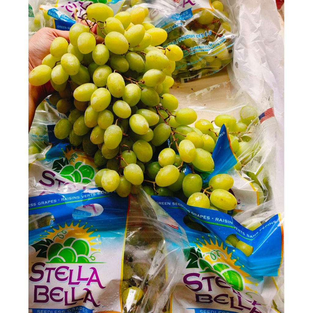 Jual Anggur ijo USA Stella Bella 1kg dan 500gr manis kress ready stock ...
