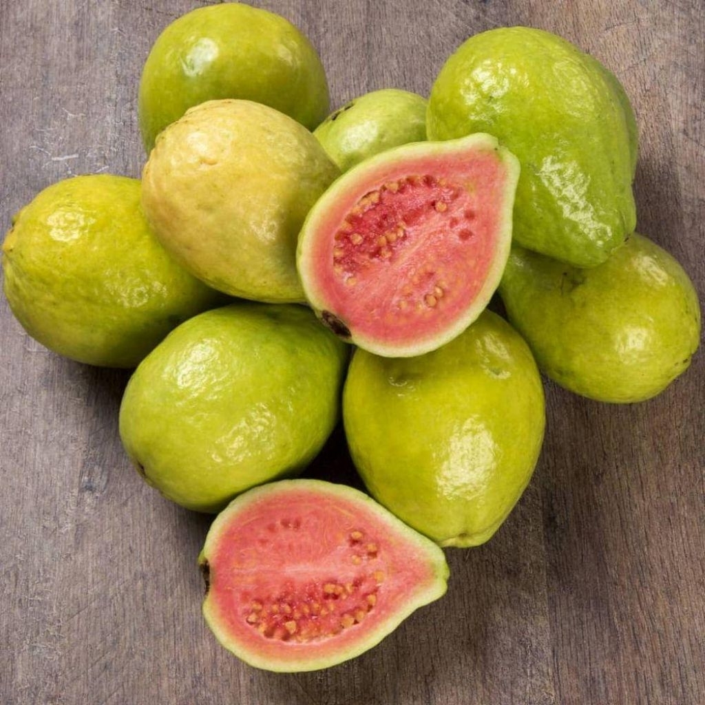 Jual Jambu Merah Super Manis 1kg – (isi 4-5-6) Buah Guava Segar Premium ...