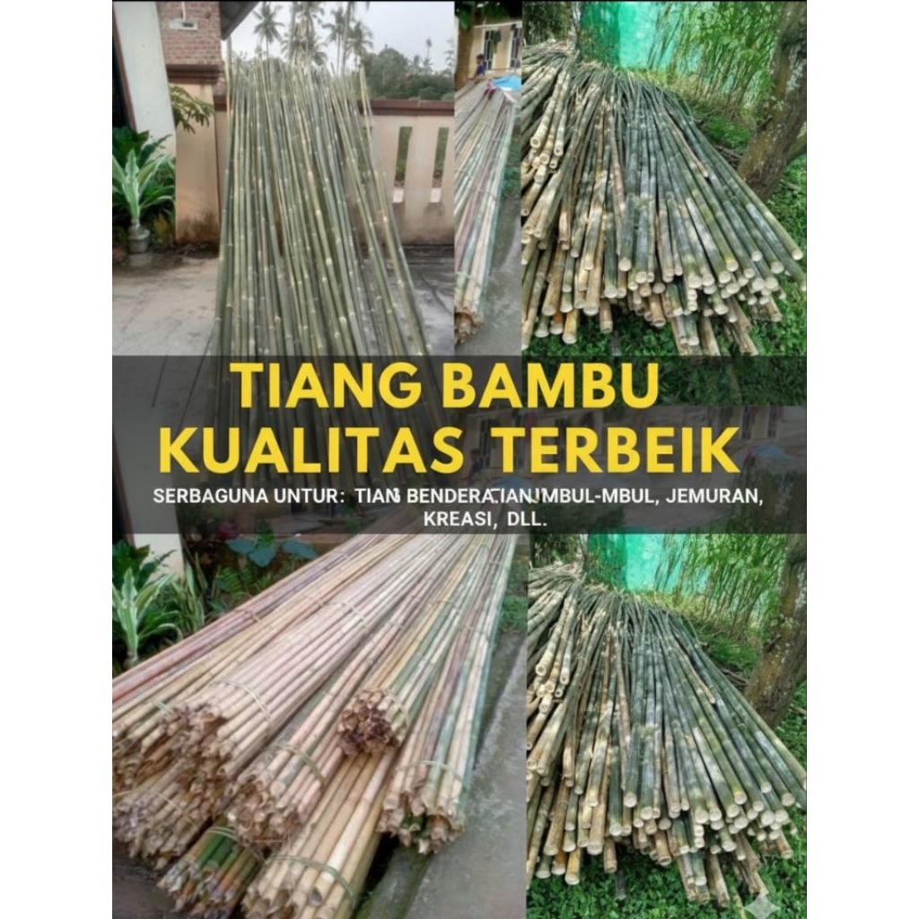 Jual Promo Bambu Tiang bendera, umbul umbul & tiang Jemuran P 3 m ...