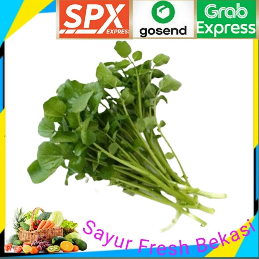 Jual Selada Air ( 2 iket ). | Shopee Indonesia