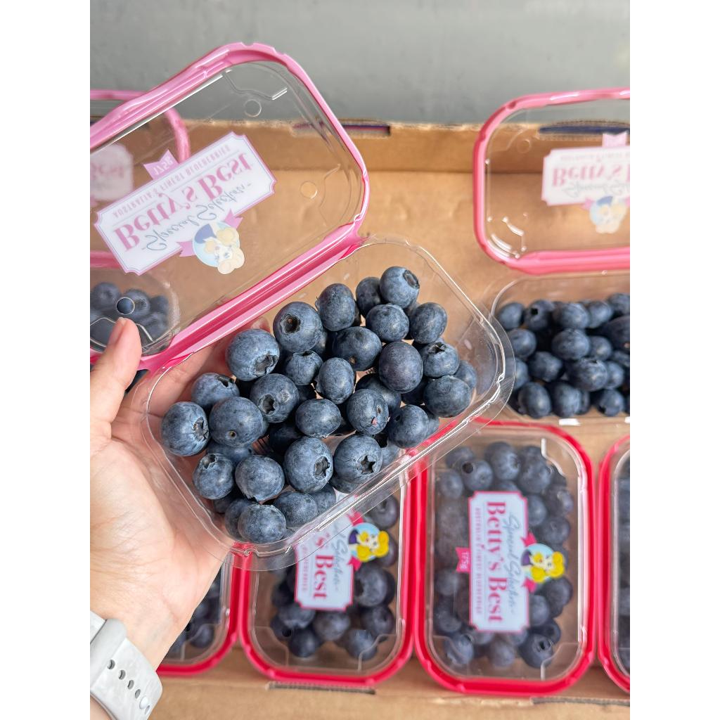 Jual Blueberry Australia Betty Jumbo (Pack) | Shopee Indonesia