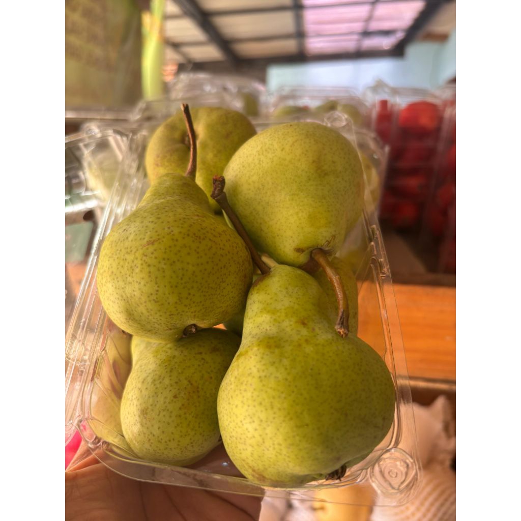 Jual Buah pir | pir pacam core | Pacam Core | Pir Pacam Pack | Pir ...