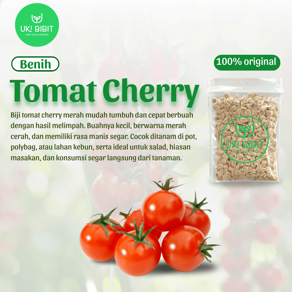 Jual ( 10 Gram ) Benih Biji Tomat Cherry | Tomat Ceri | Solanum ...